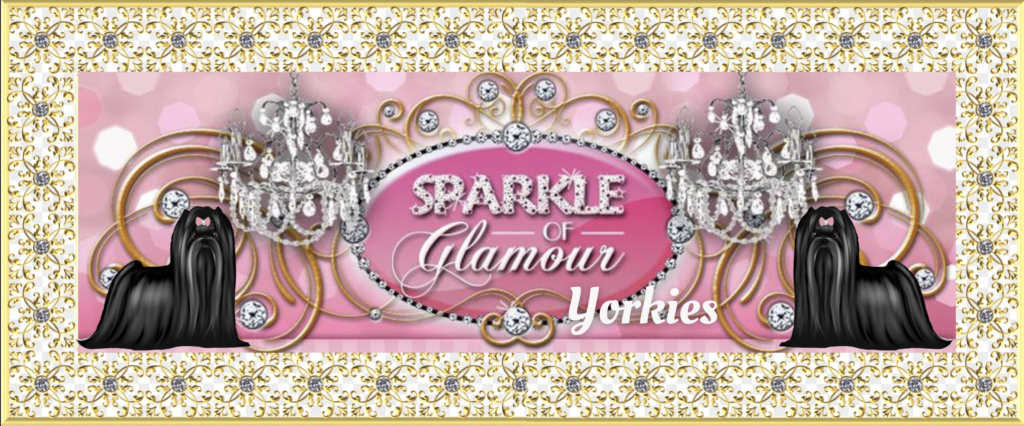 Track Your Puppy's Size With Our Yorkie Growth Chart